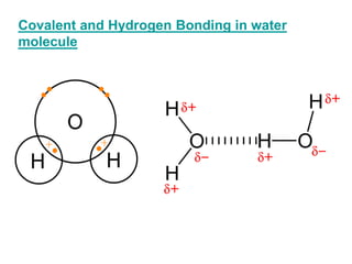 Structure and Properties of Water.ppt