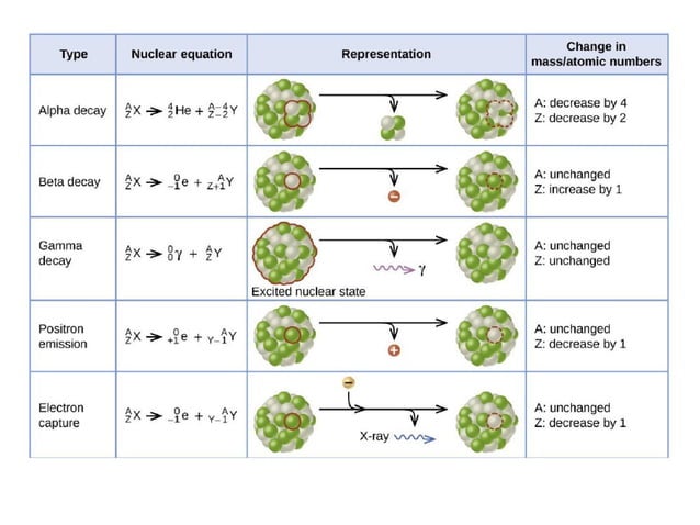 Structure and Reactions of Atomic Nucleus.pptx | Chemistry | Science