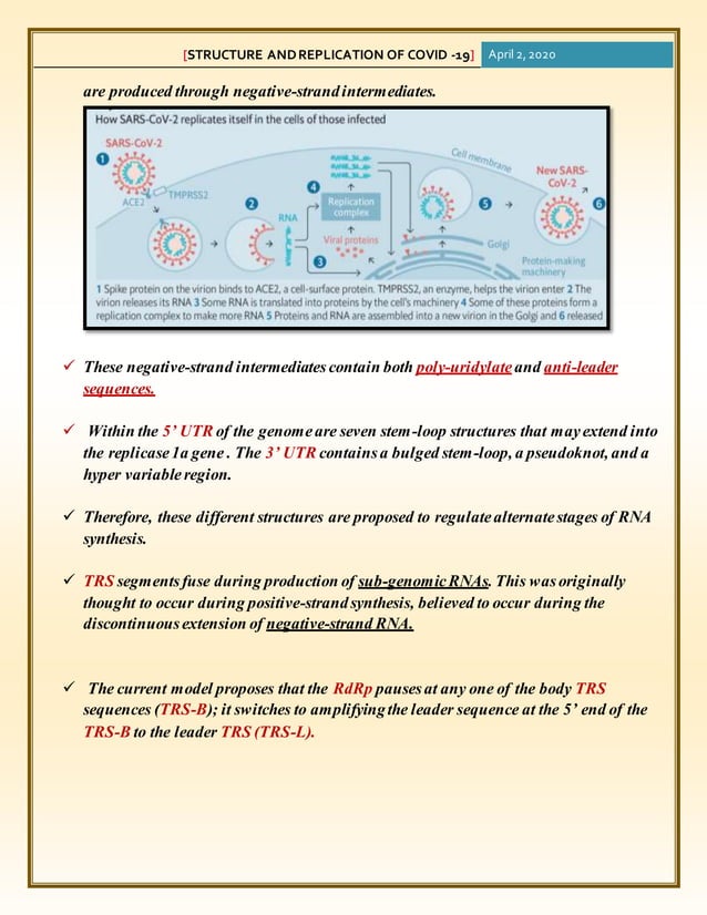 Structure and replication . | DOCX
