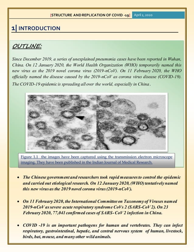 Structure and replication . | DOCX