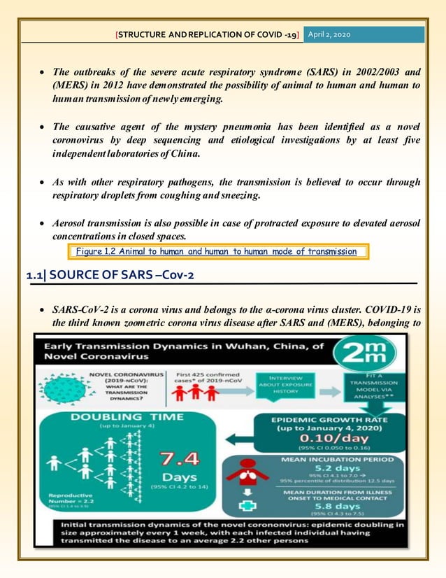Structure and replication . | DOCX