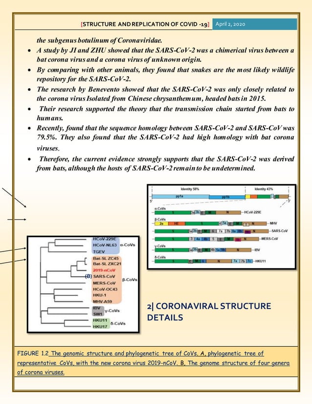 Structure and replication . | DOCX