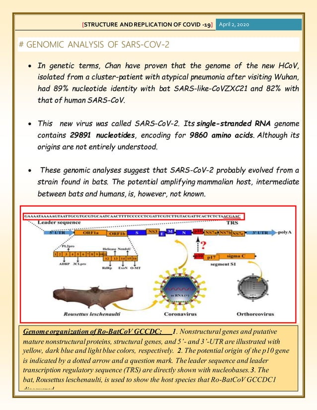Structure and replication . | DOCX