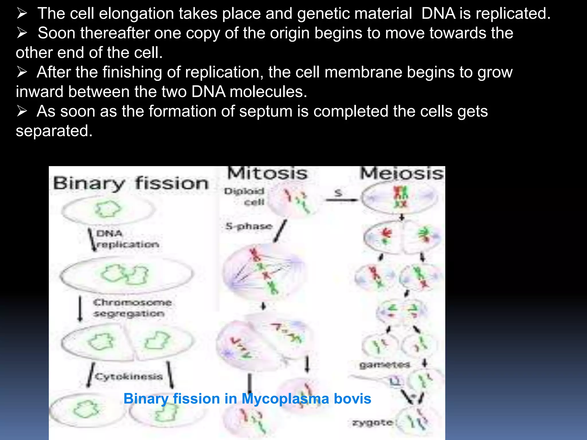 Structure and reproduction of mycoplasma | PPTX