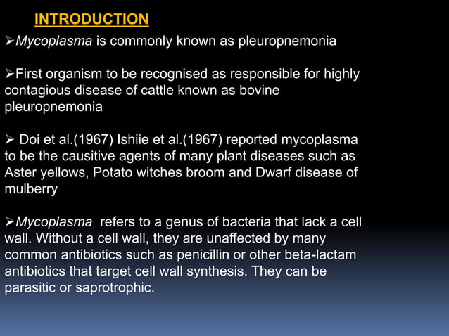 Structure and reproduction of mycoplasma | PPTX | Lung and Respiratory ...