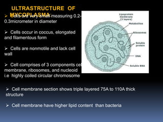 Structure and reproduction of mycoplasma | PPTX