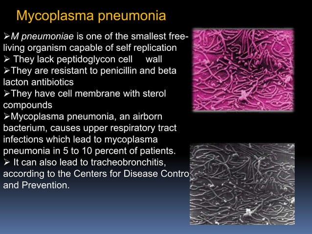 Structure and reproduction of mycoplasma | PPTX | Lung and Respiratory ...