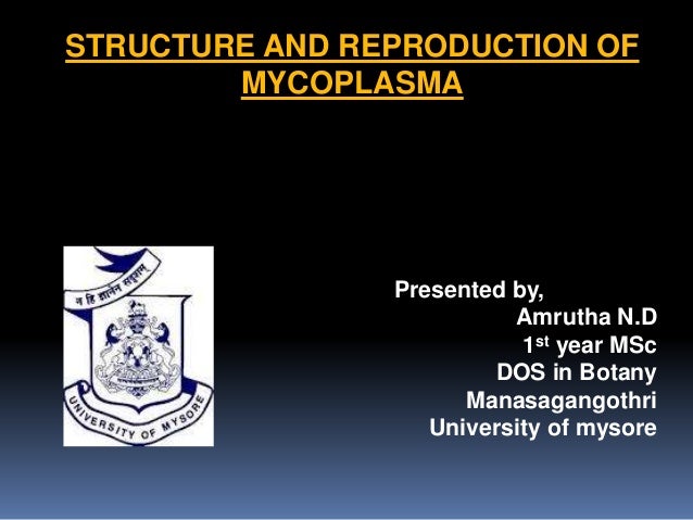 Structure And Reproduction Of Mycoplasma