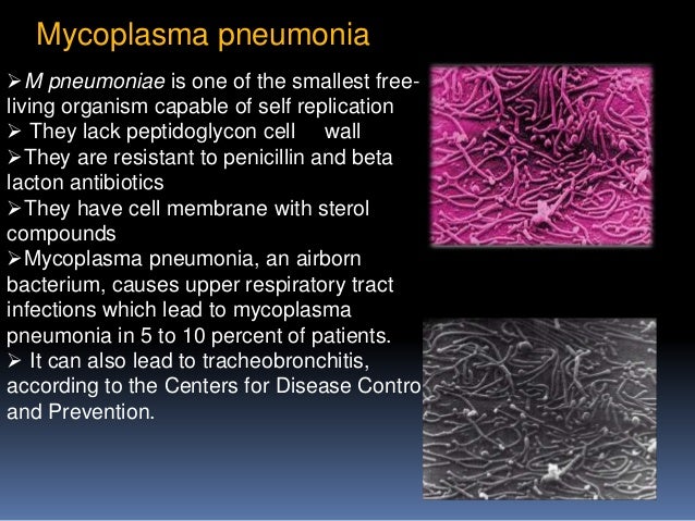 Structure And Reproduction Of Mycoplasma