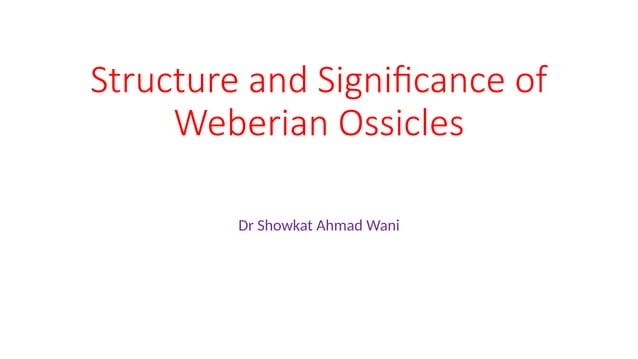 Structure and Significance of Weberian Ossicles .pptx