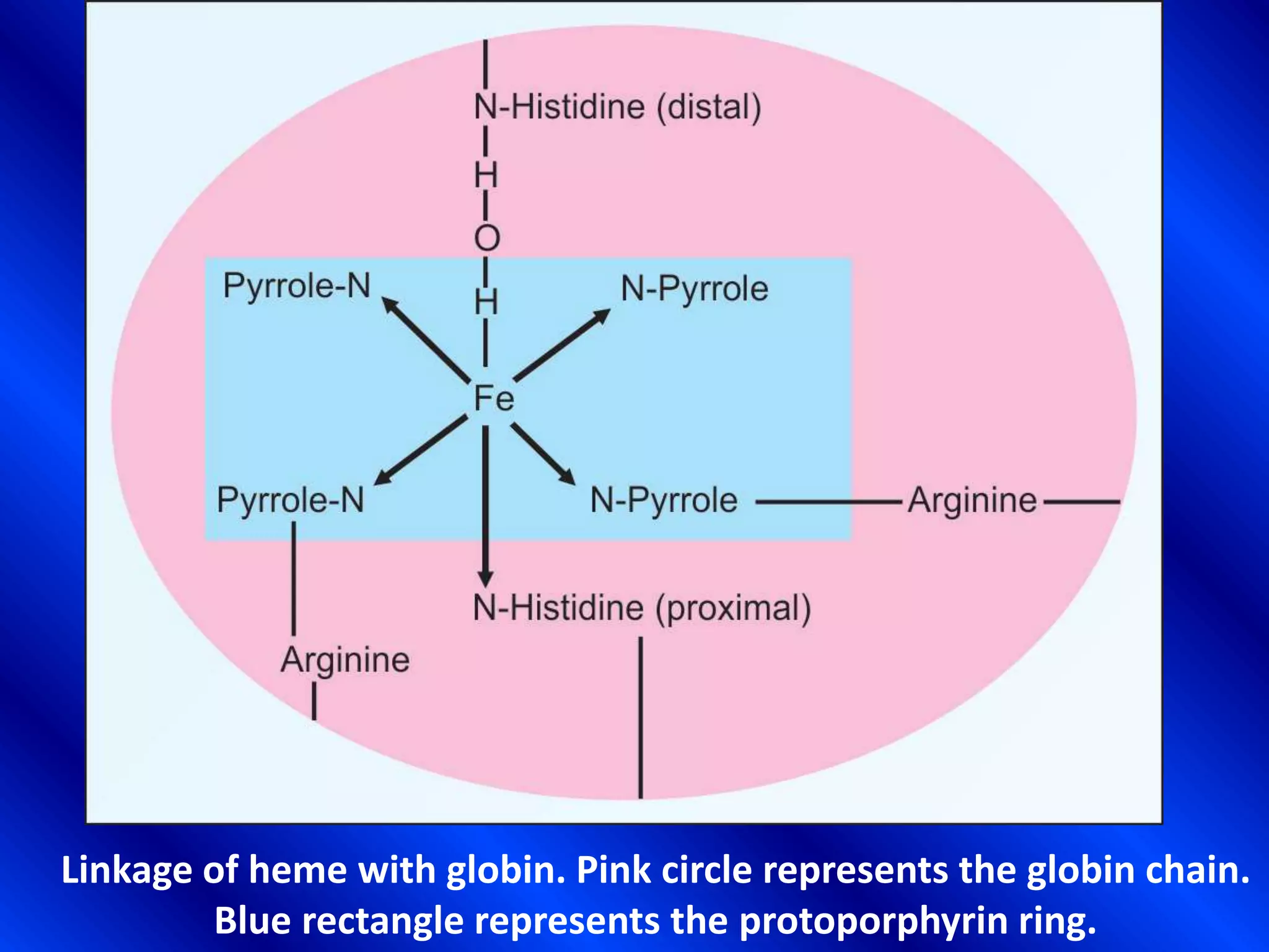 Heme Structure. synthesis and porphyrias | PPTX