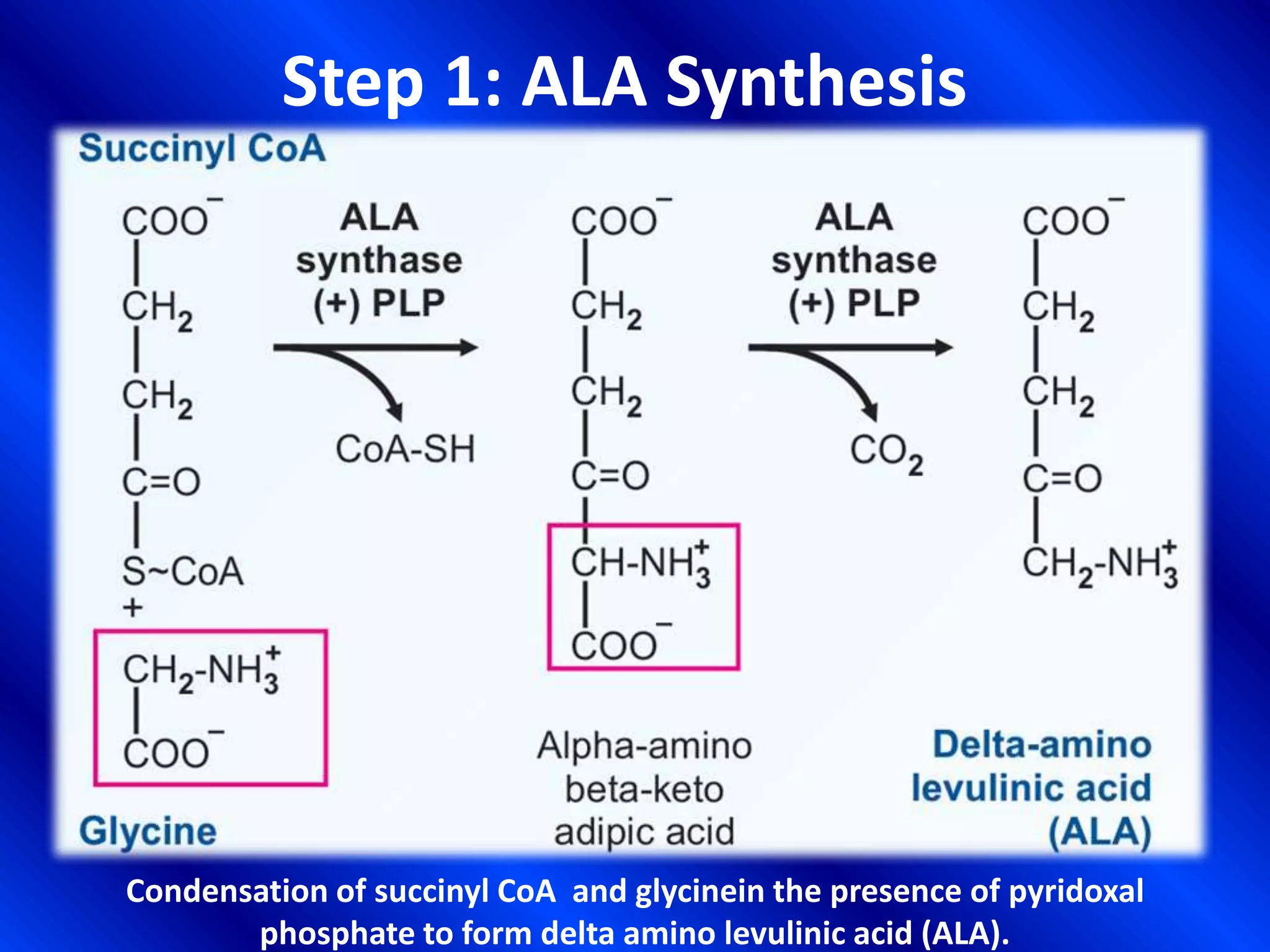 Heme Structure. synthesis and porphyrias | PPTX