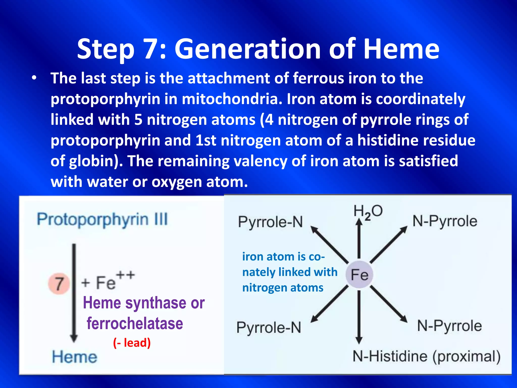 Heme Structure. synthesis and porphyrias | PPTX