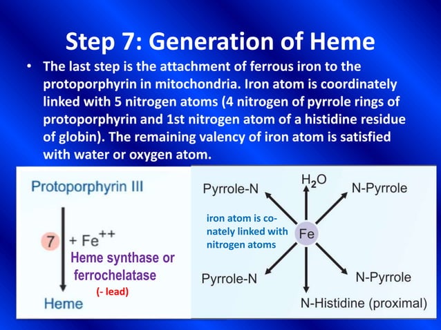 Heme Structure. synthesis and porphyrias | PPTX | Chemistry | Science
