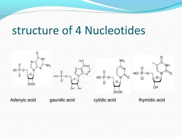 Structure and types of dna & rna | PPT