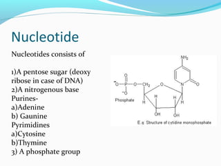 Structure and types | PPT