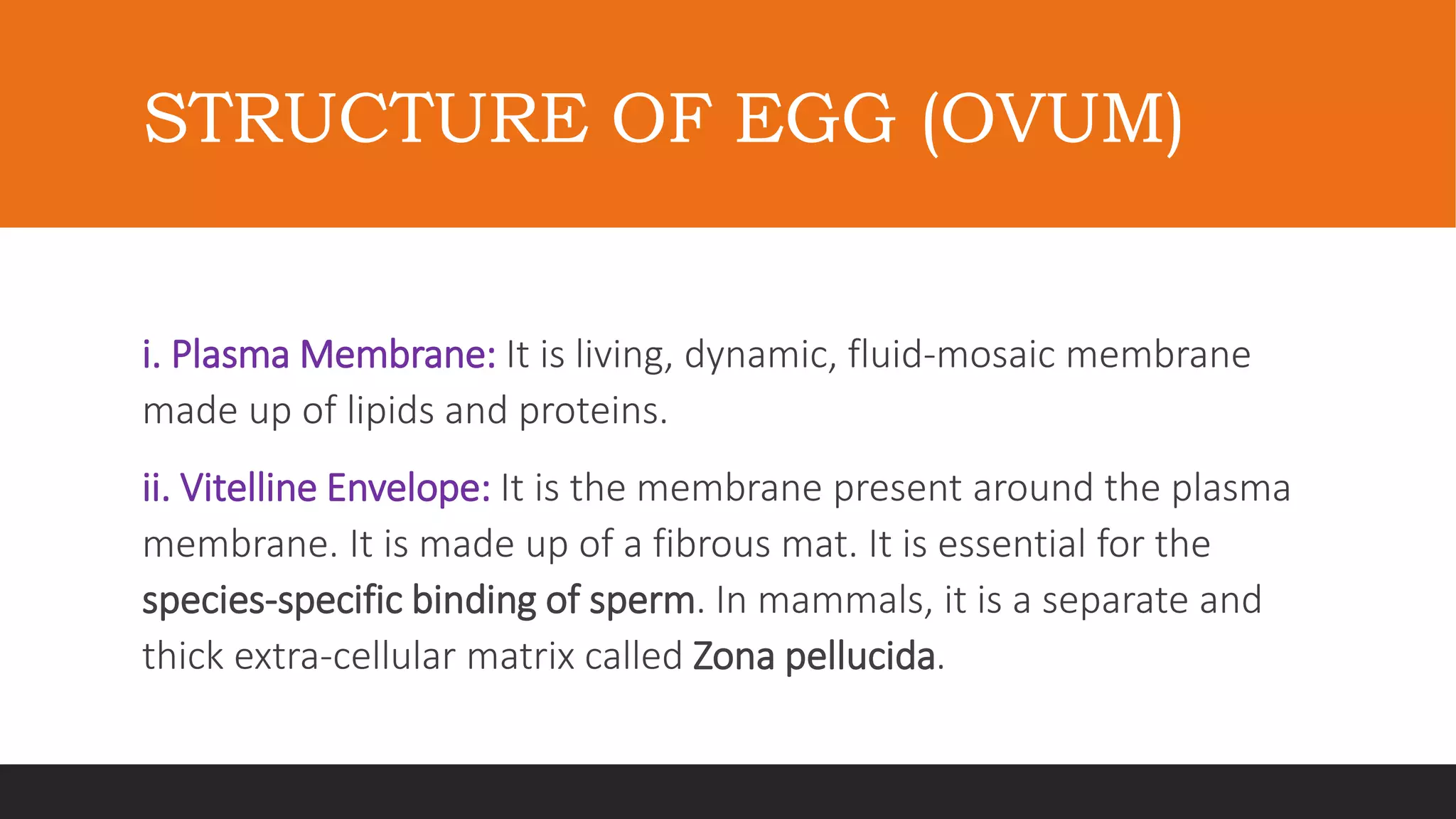 Structure and types of eggs | PPTX