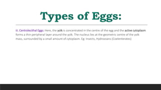 Structure and types of eggs | PPTX