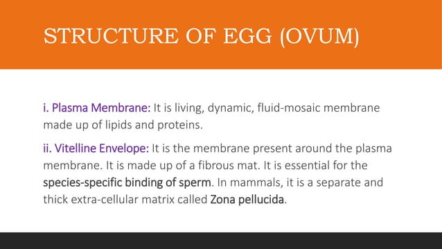 Structure and types of eggs | PPTX
