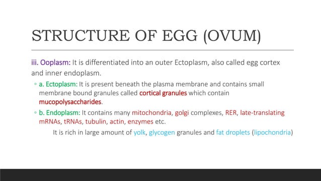 Structure and types of eggs | PPTX
