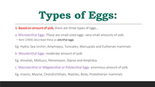 Structure and types of eggs | PPTX