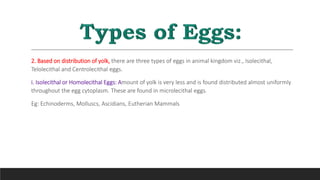 Structure and types of eggs | PPTX