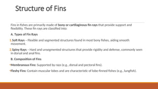 Structure and types of Fins in fishes.pptx