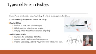Structure and types of Fins in fishes.pptx
