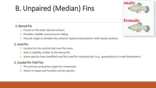 Structure and types of Fins in fishes.pptx