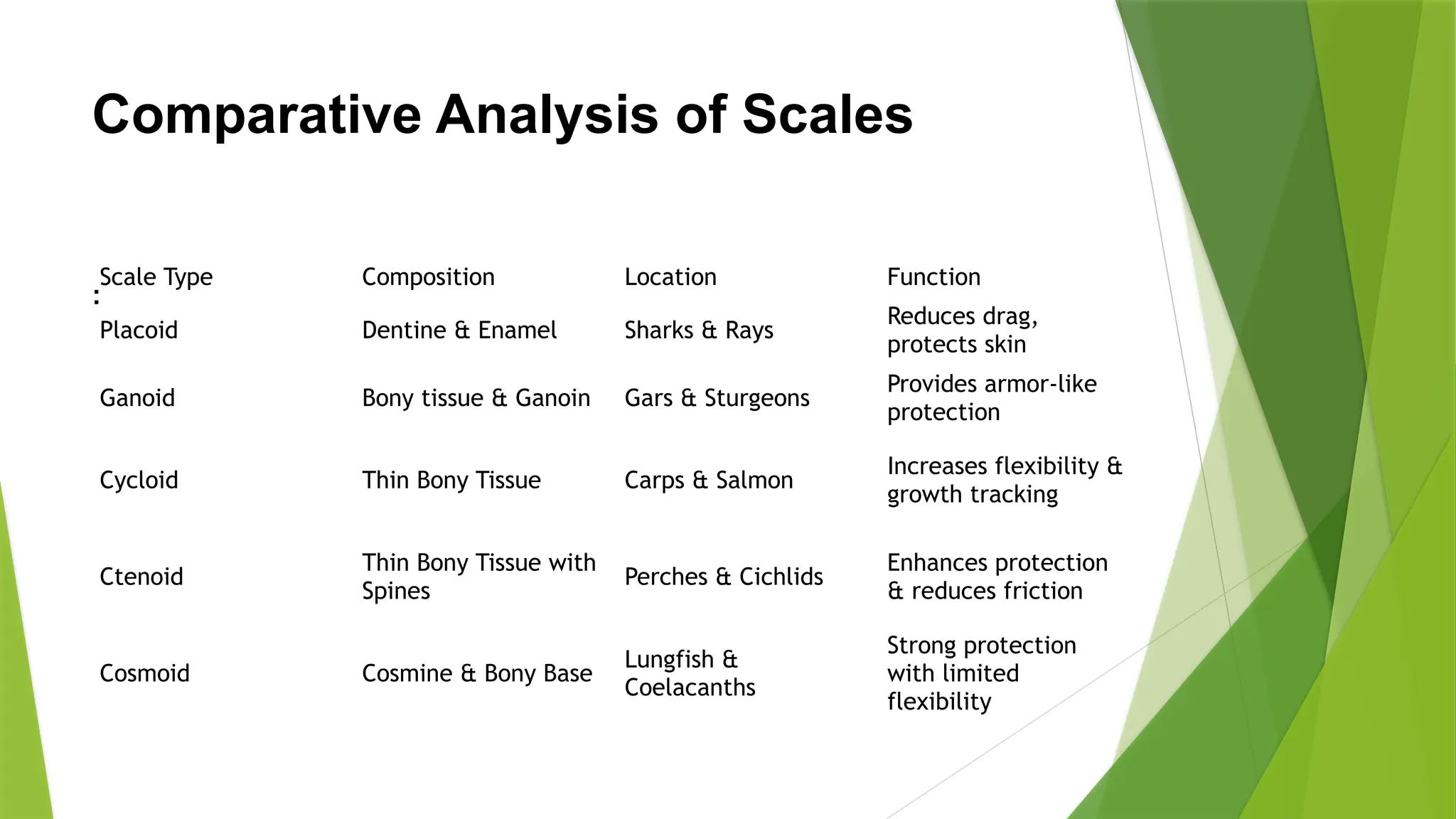 Structure and Types of Scales in Fishes[1].pptx