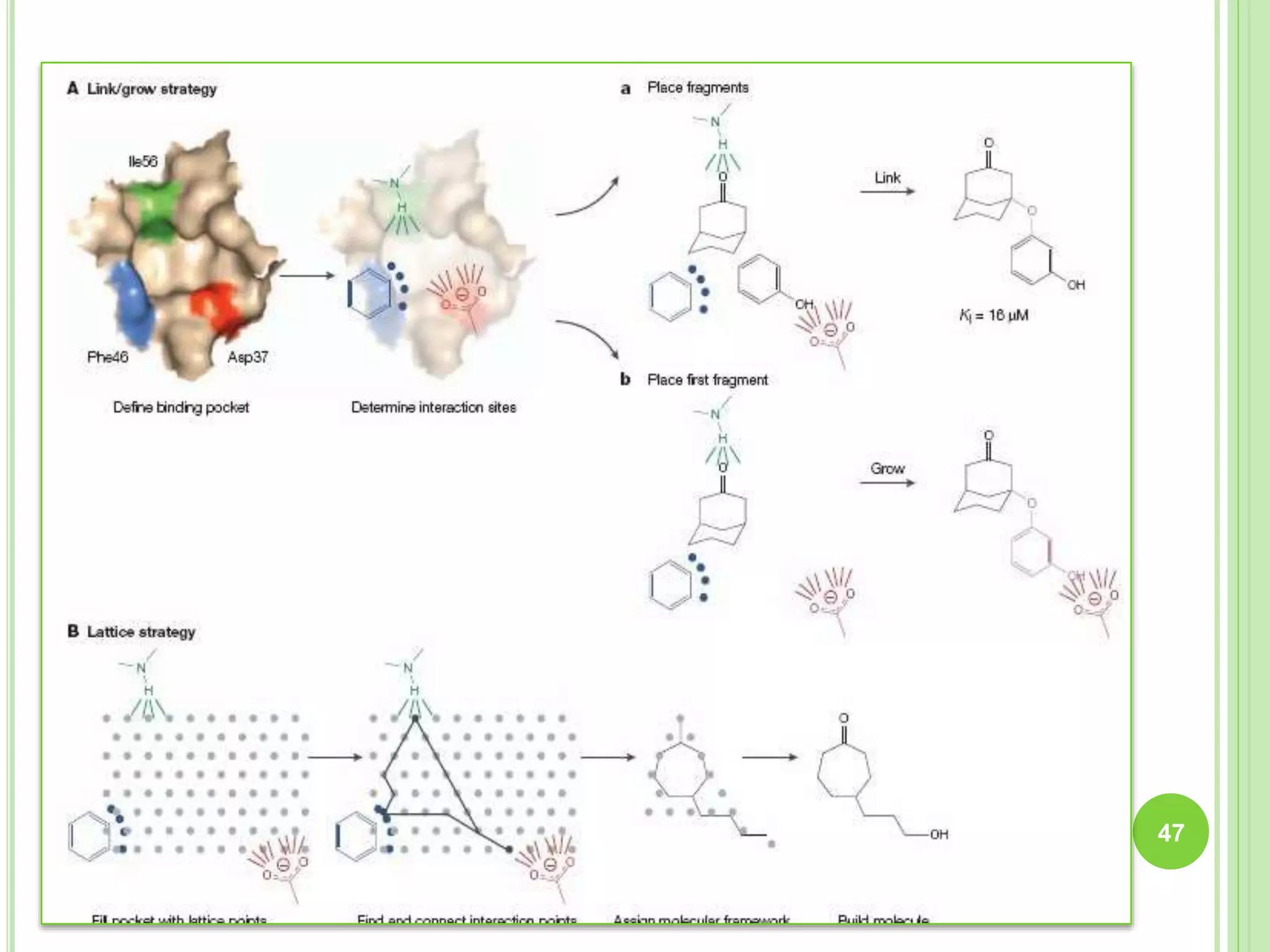 Structure based drug design | PPTX