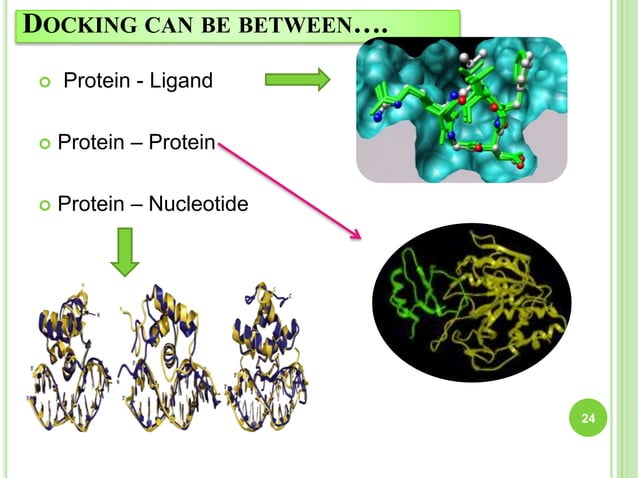 Structure based drug design | PPTX