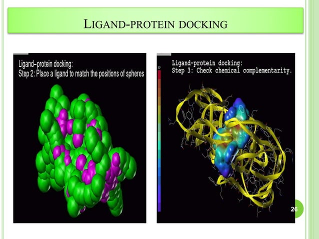 Structure based drug design | PPTX