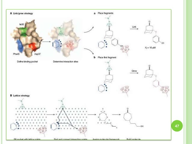 Structure based drug design | PPTX