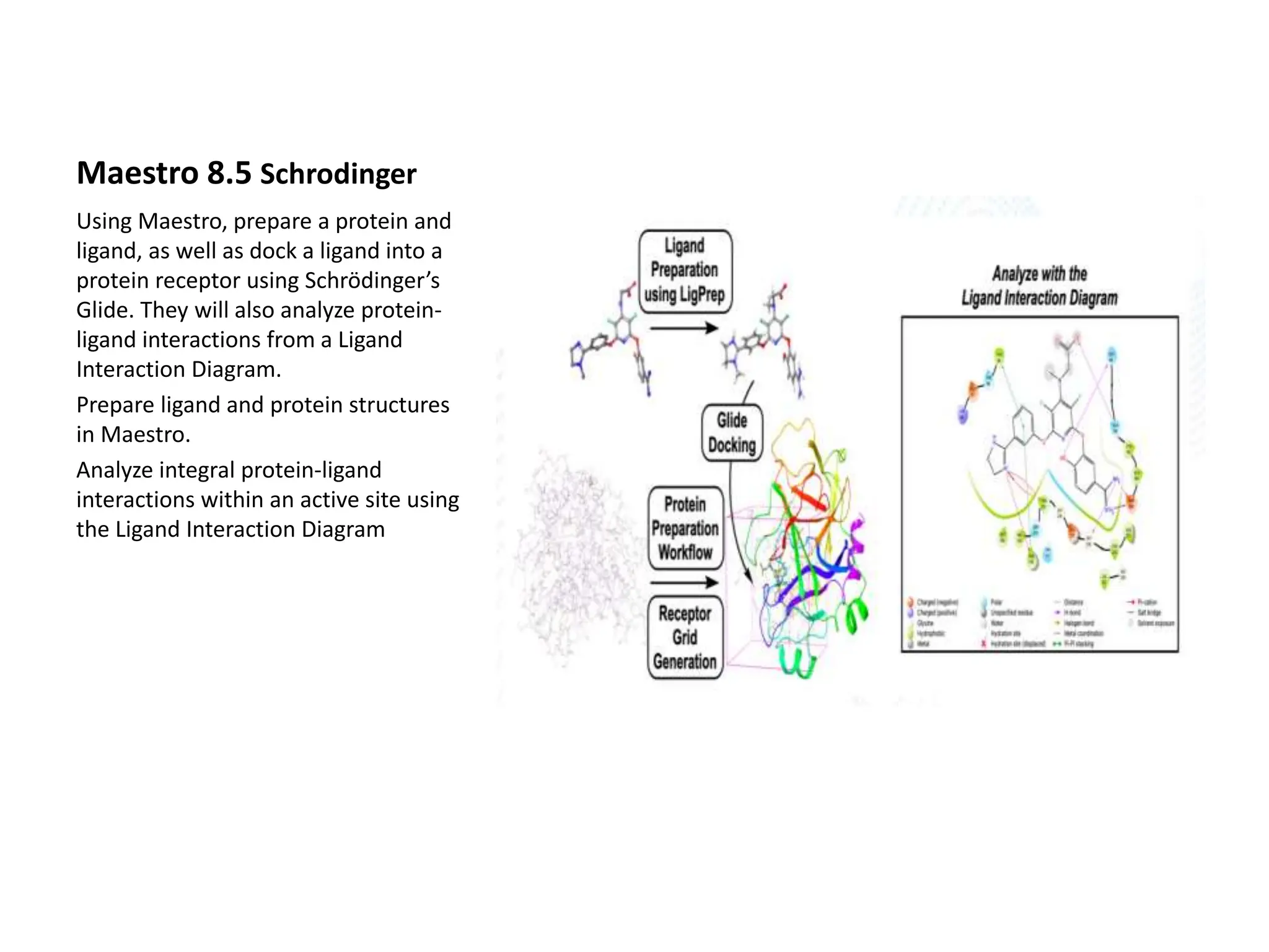 Structure Based Multitargeted Molecular Docking Analysis of Selected 2.pptx