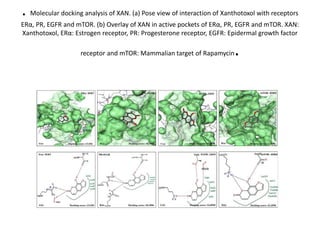 Structure Based Multitargeted Molecular Docking Analysis of Selected 2.pptx