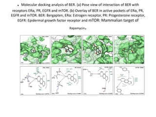 Structure Based Multitargeted Molecular Docking Analysis of Selected 2.pptx