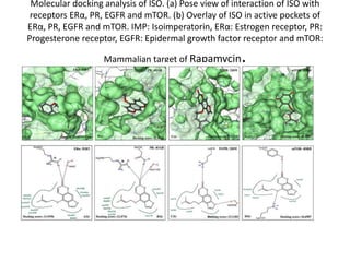 Structure Based Multitargeted Molecular Docking Analysis of Selected 2.pptx