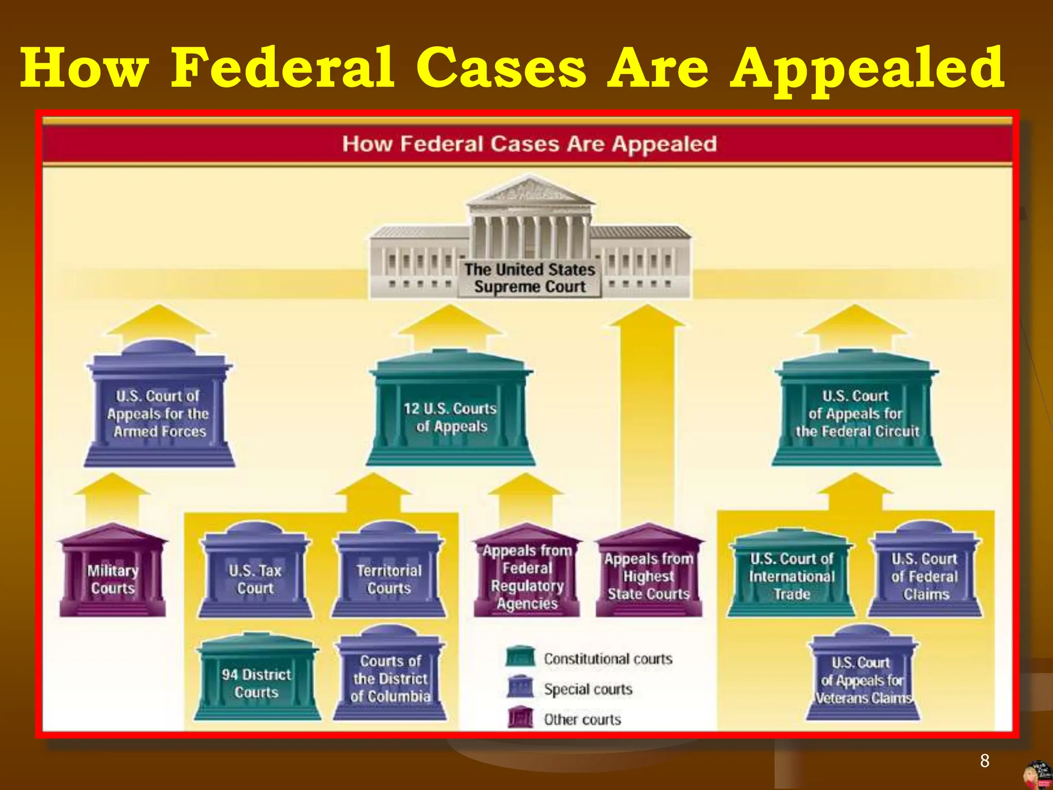 Structure Basics Federal Court System.pptx