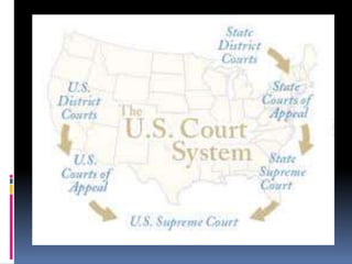 Structure Basics Federal Court System.pptx