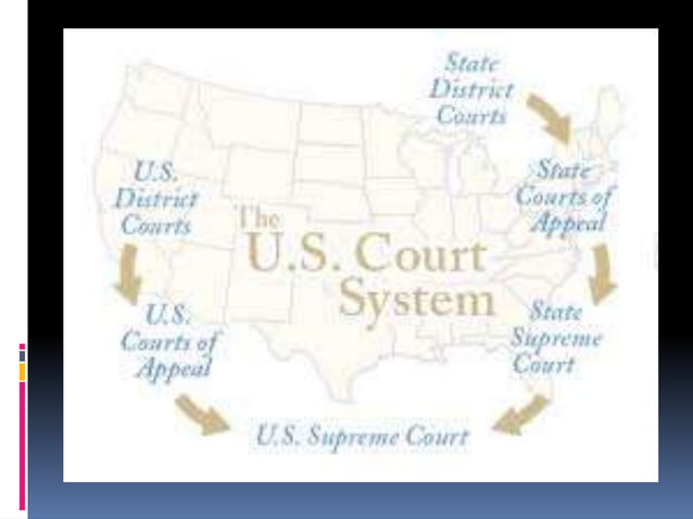 Structure Basics Federal Court System.pptx