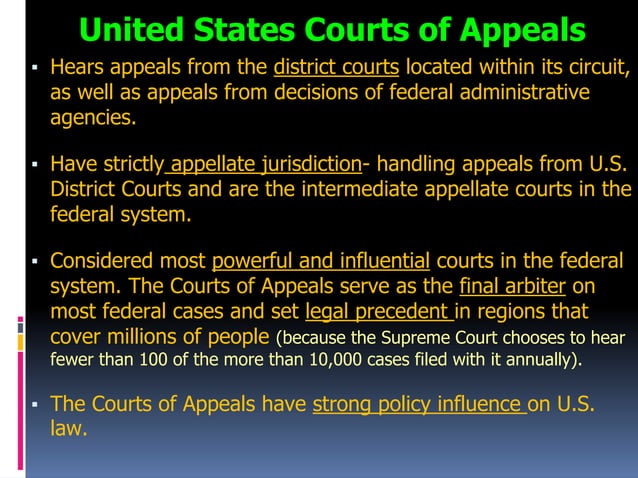 Structure Basics Federal Court System.pptx