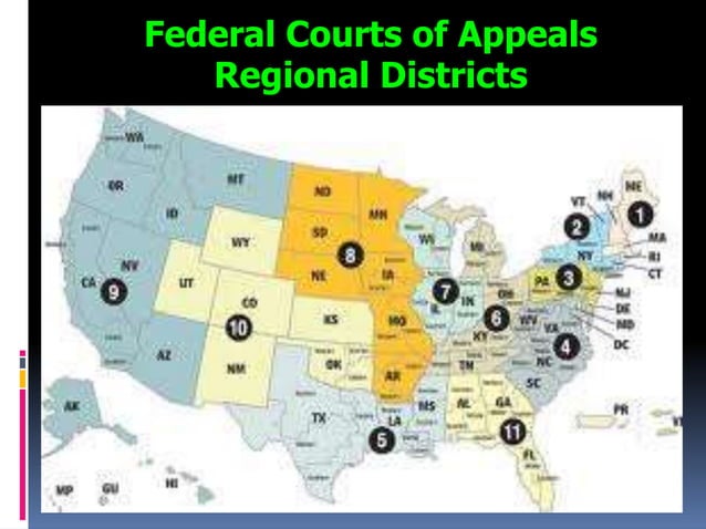 Structure Basics Federal Court System.pptx