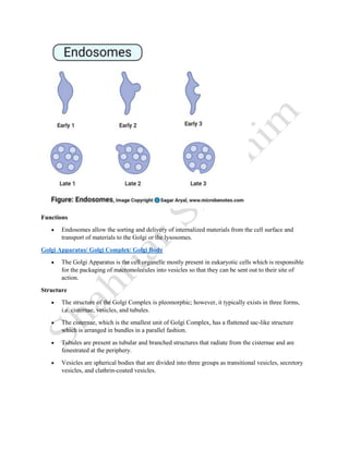 Structure, chemical_composition_and_function_of_organalles. | PDF