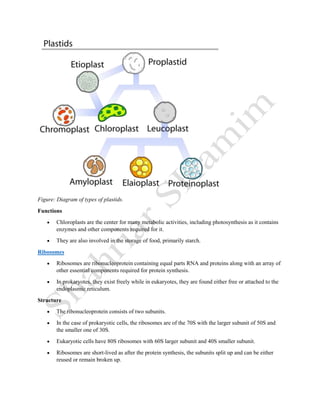Structure, chemical_composition_and_function_of_organalles. | PDF