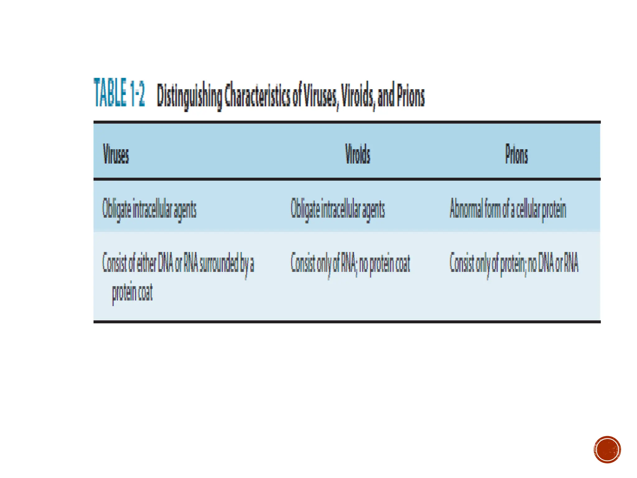 structure & classification of virus copy.pptx