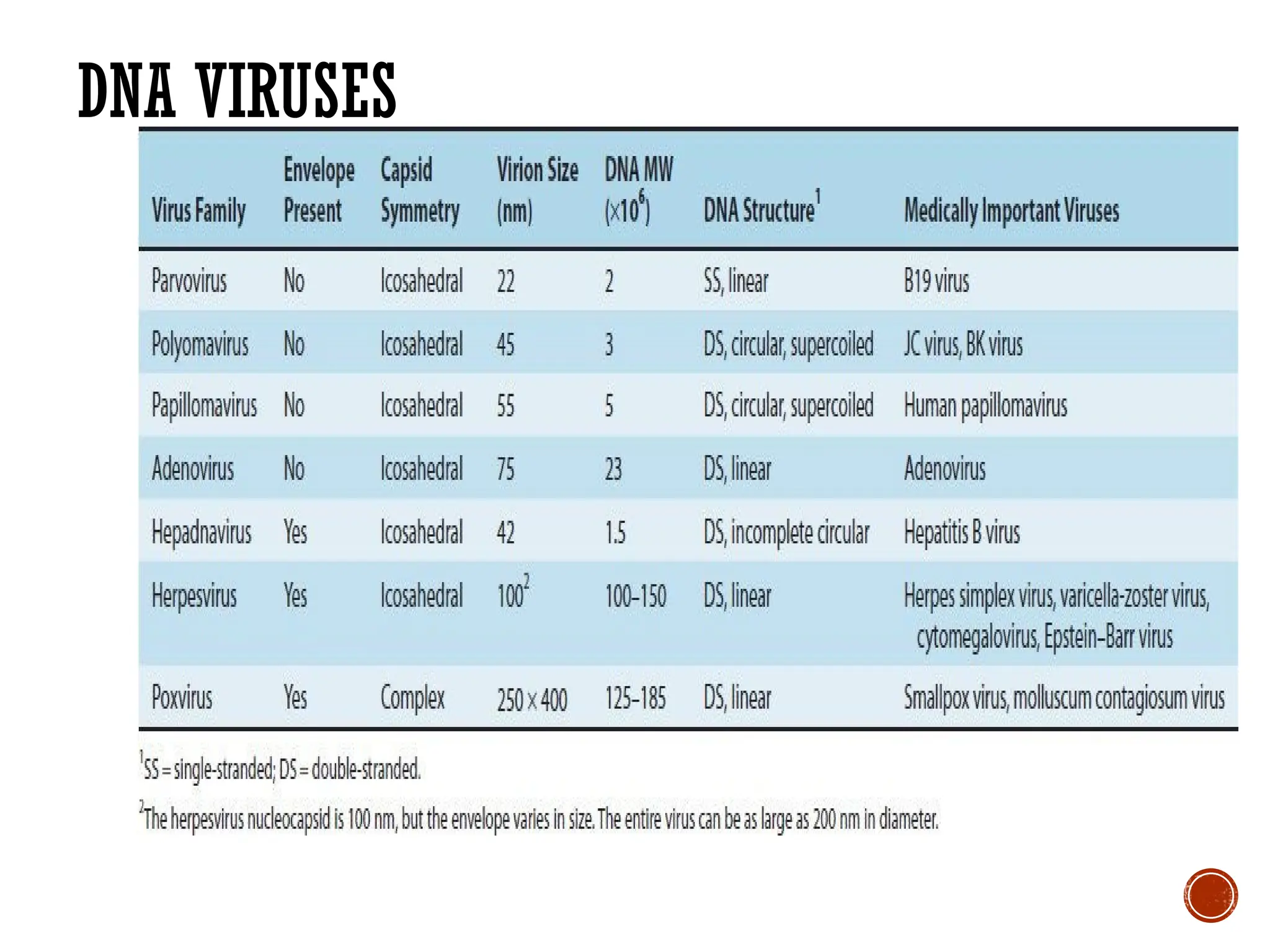 structure & classification of virus copy.pptx