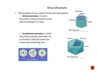 structure & classification of virus copy.pptx