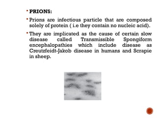 structure & classification of virus copy.pptx
