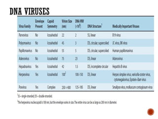 structure & classification of virus copy.pptx
